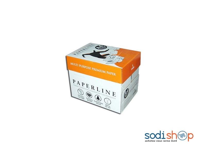 Papier RAM PAPERLINE, Format A4, Qualité Supérieure - Carton de 5 Rame ...