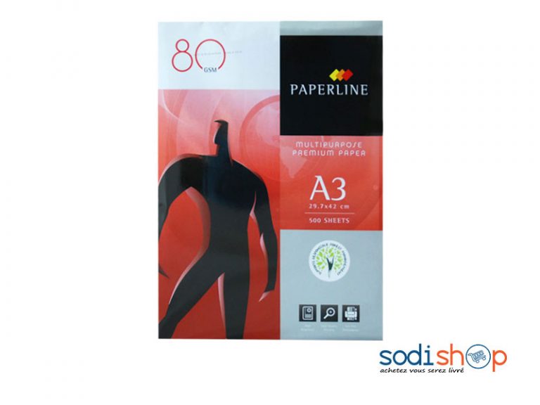 Papier RAM PAPERLINE, Format A3, Qualité Supérieure - Carton de 5 Rame ...