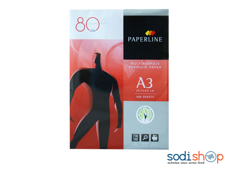 Papier RAM PAPERLINE, Format A3, Qualité Supérieure - Carton de 5 Rame ...