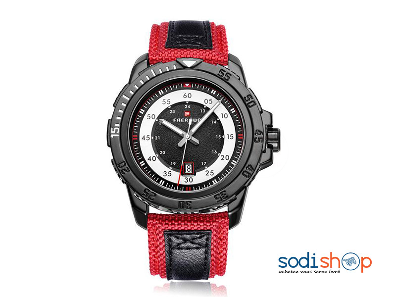 FAERDUO F8238M Montre Pour Homme Cadran Analogique Indicateur de Date ...