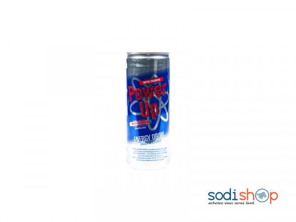 Boisson Energétique Power UP 250ml KF00116 - SodiShop