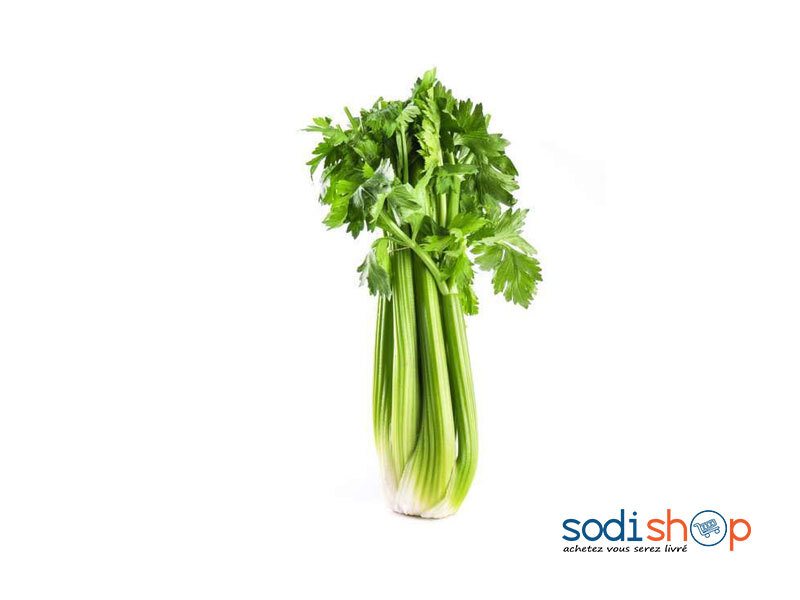 Céleri Légume Alimentaire - Lot de 4 Tiges FO00118 - SodiShop