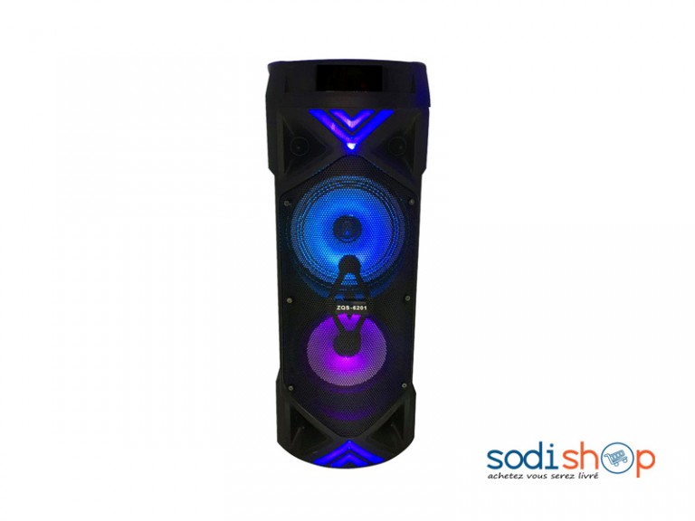 Boomer Haut-Parleur Puissant - Bluetooth BT Speaker ZQS-6201 AN0051 ...